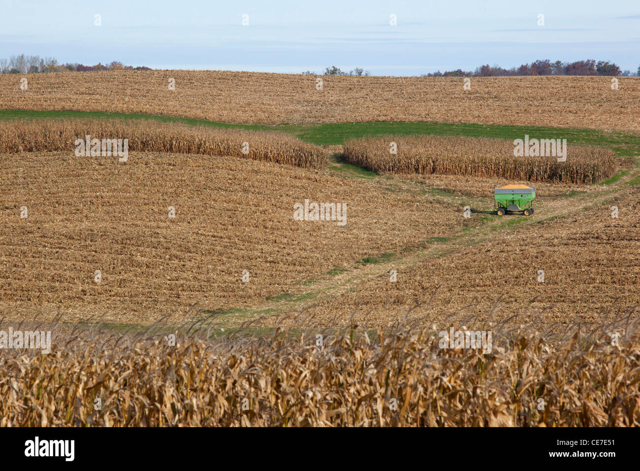 Iowa cornfield hi-res stock photography and images - Alamy