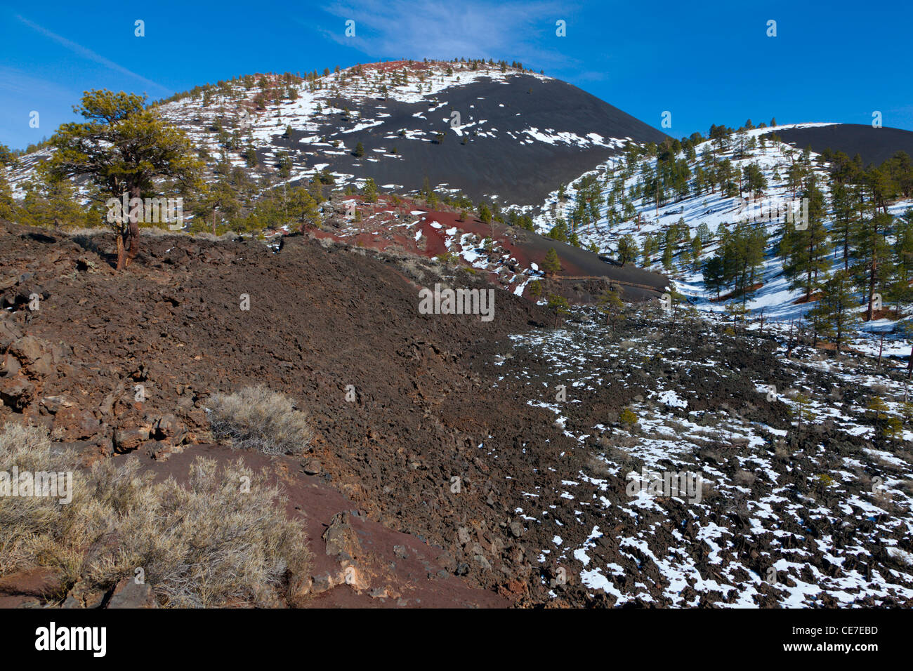 Arizona terrain hi-res stock photography and images - Alamy
