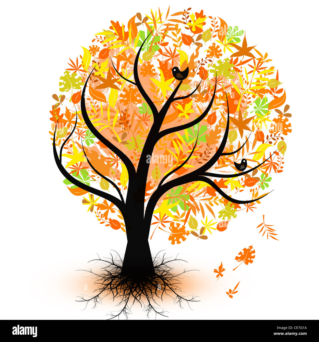 Colorful autumn tree isolated on white background Stock Photo - Alamy