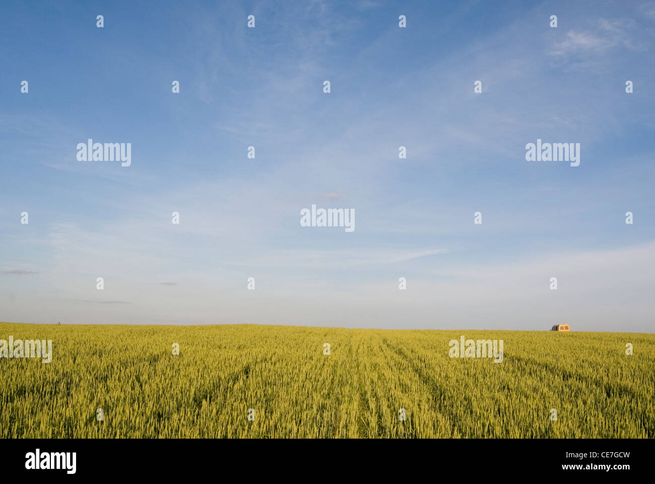 Yellow car goes through countryside landscape Stock Photo - Alamy