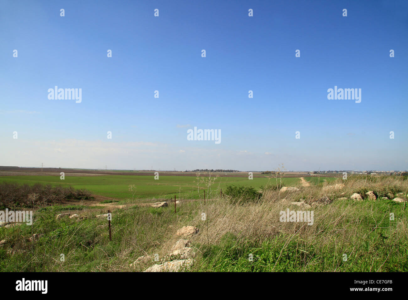 Israel, Shephelah, Tel Miqne, site of biblical Ekron Stock Photo - Alamy