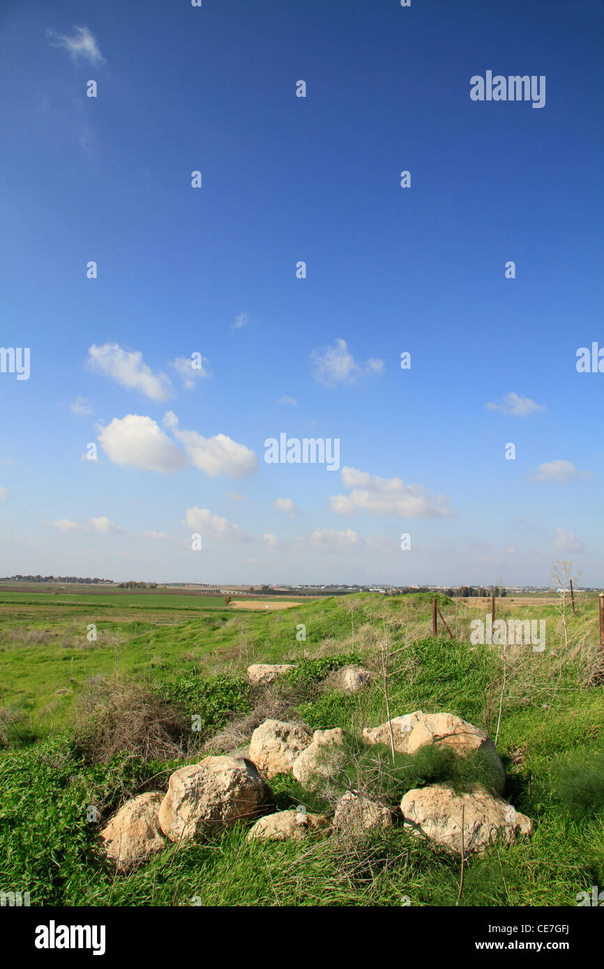 Philistine ekron hi-res stock photography and images - Alamy