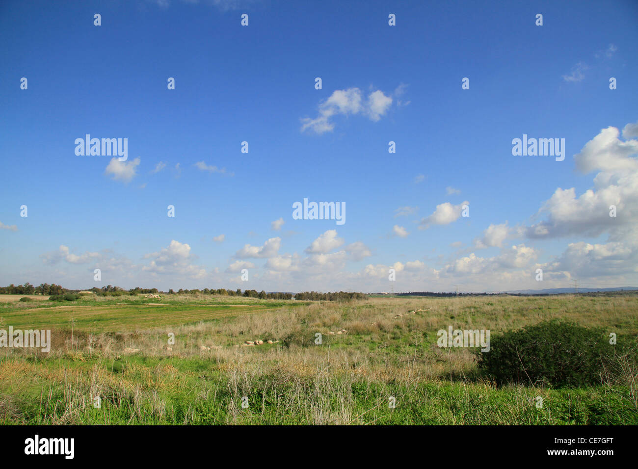 Israel, Shephelah, Tel Miqne, site of biblical Ekron Stock Photo - Alamy