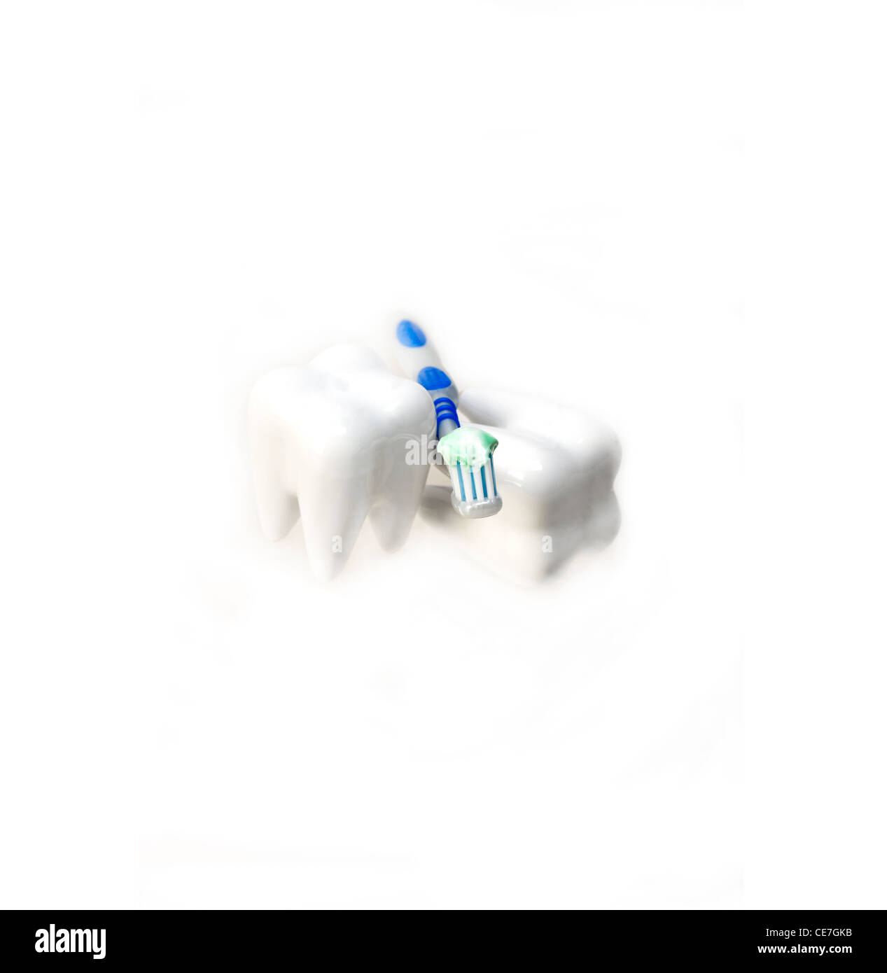 two fake teeth with brush and floss closeup isolated on white Stock ...