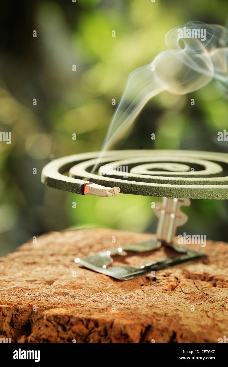 Insect repellent mosquito coil in closeup Stock Photo - Alamy