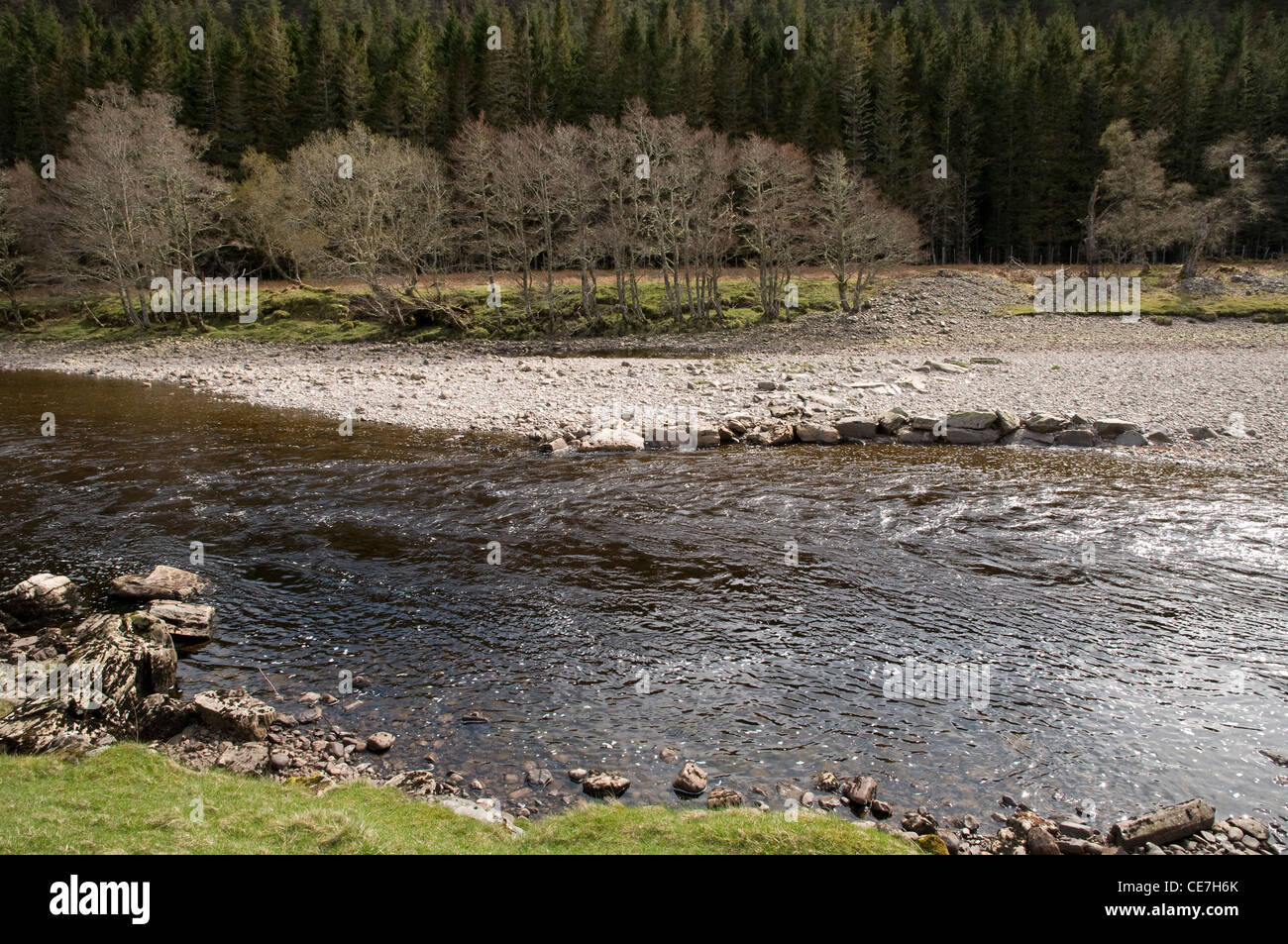 Trees and riverbank along The River Oykel, Sutherland, Scotland, UK ...