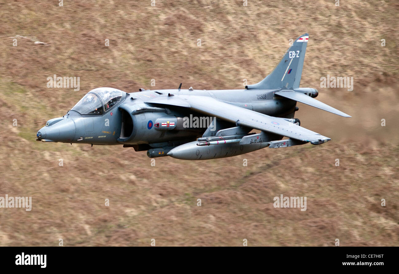 Harrier gr9 hi-res stock photography and images - Alamy