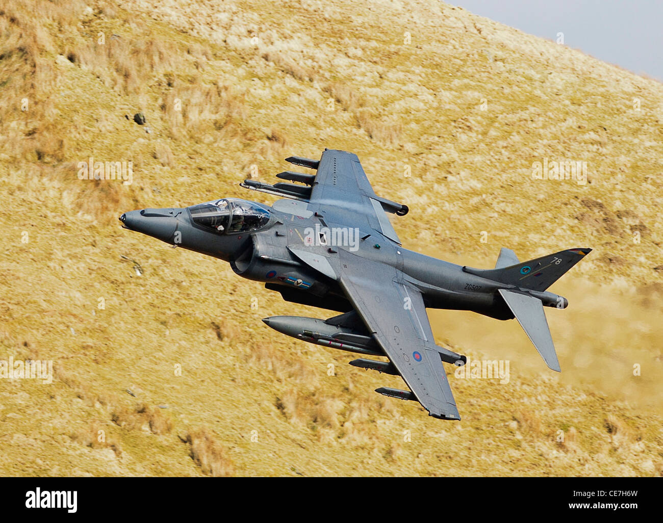 Raf harrier flying hi-res stock photography and images - Alamy