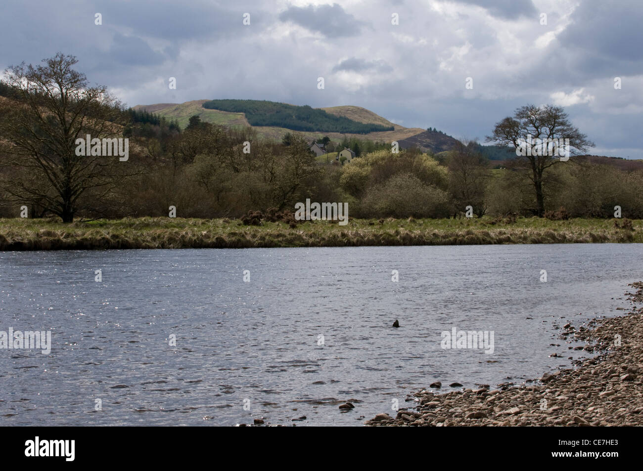 Riverbank along The River Oykel, Sutherland, Scotland, UK Stock Photo ...