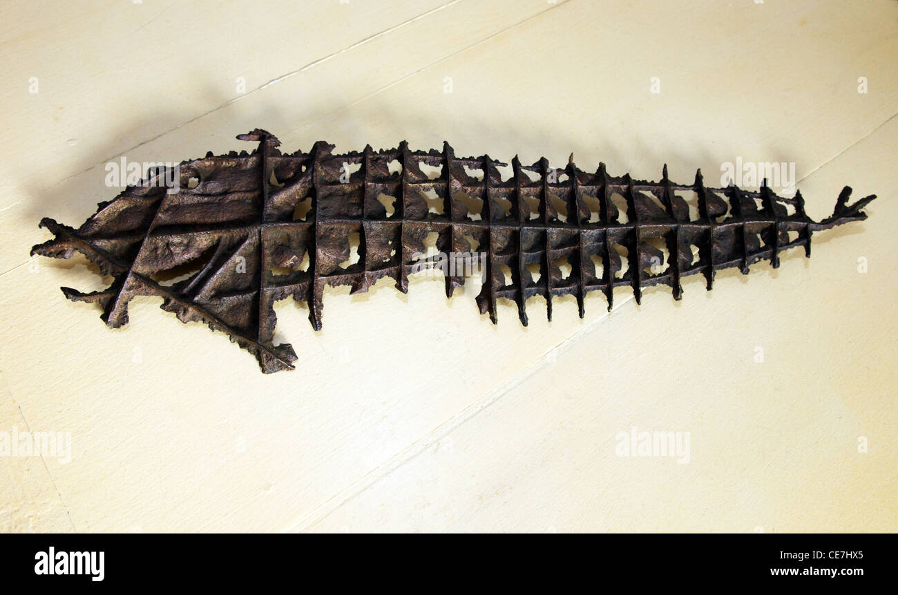 Fish skeleton hi-res stock photography and images - Alamy
