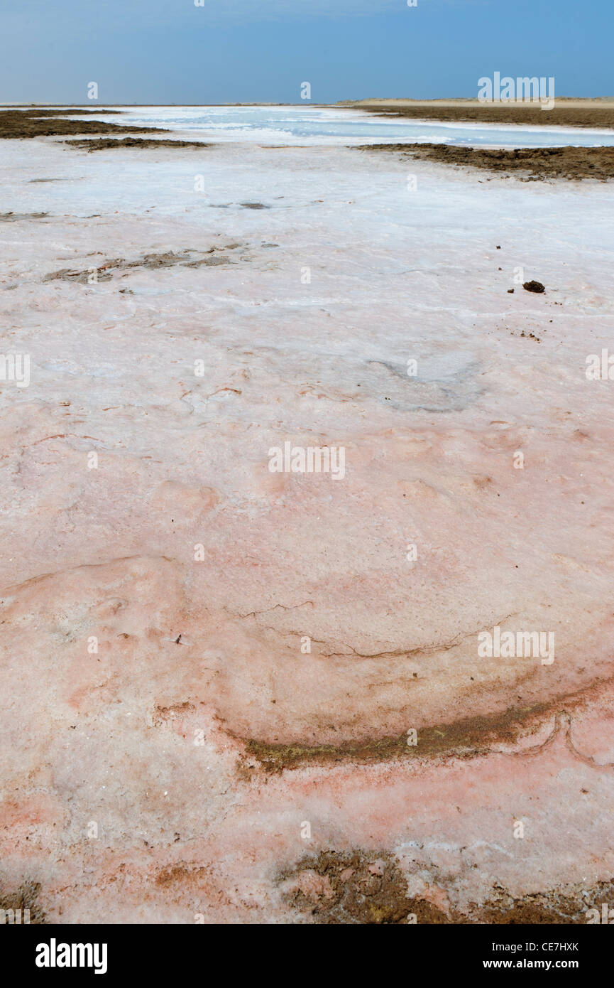 Salt pan along the coast of Skeleton Coast, Namibia Stock Photo - Alamy