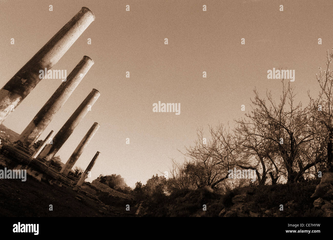Sebastia Samaria High Resolution Stock Photography and Images - Alamy