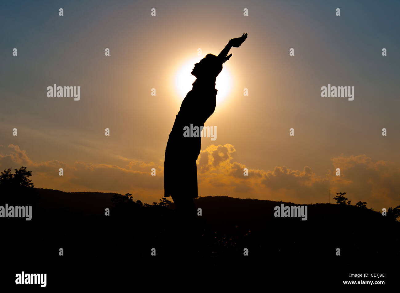 Victory tree hi-res stock photography and images - Alamy