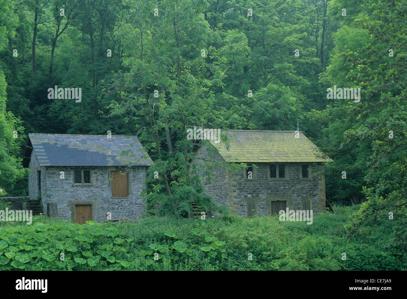 Old Mill houses, Millers Dale, Derbyshire Stock Photo - Alamy
