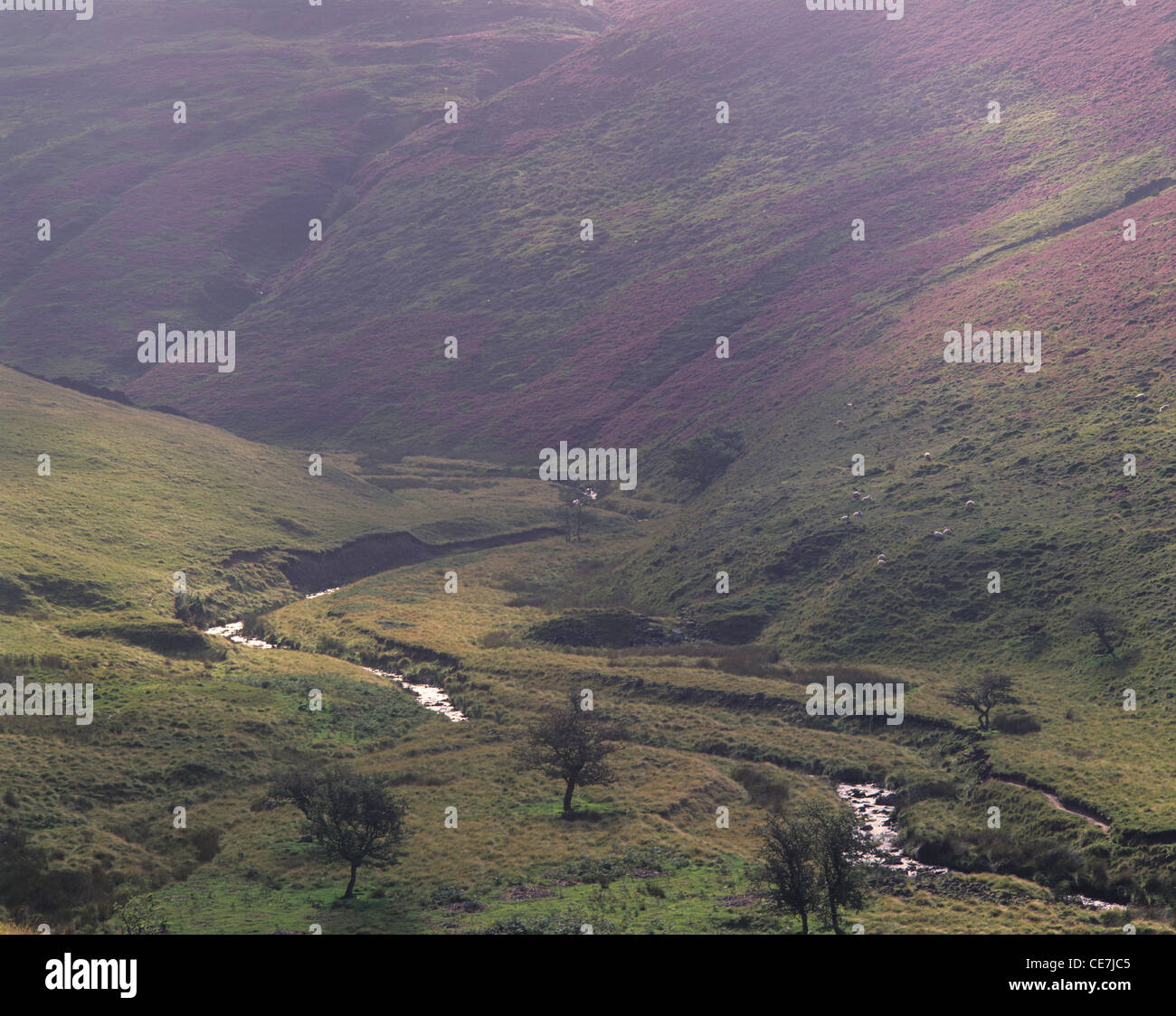 Doctors gate hi-res stock photography and images - Alamy