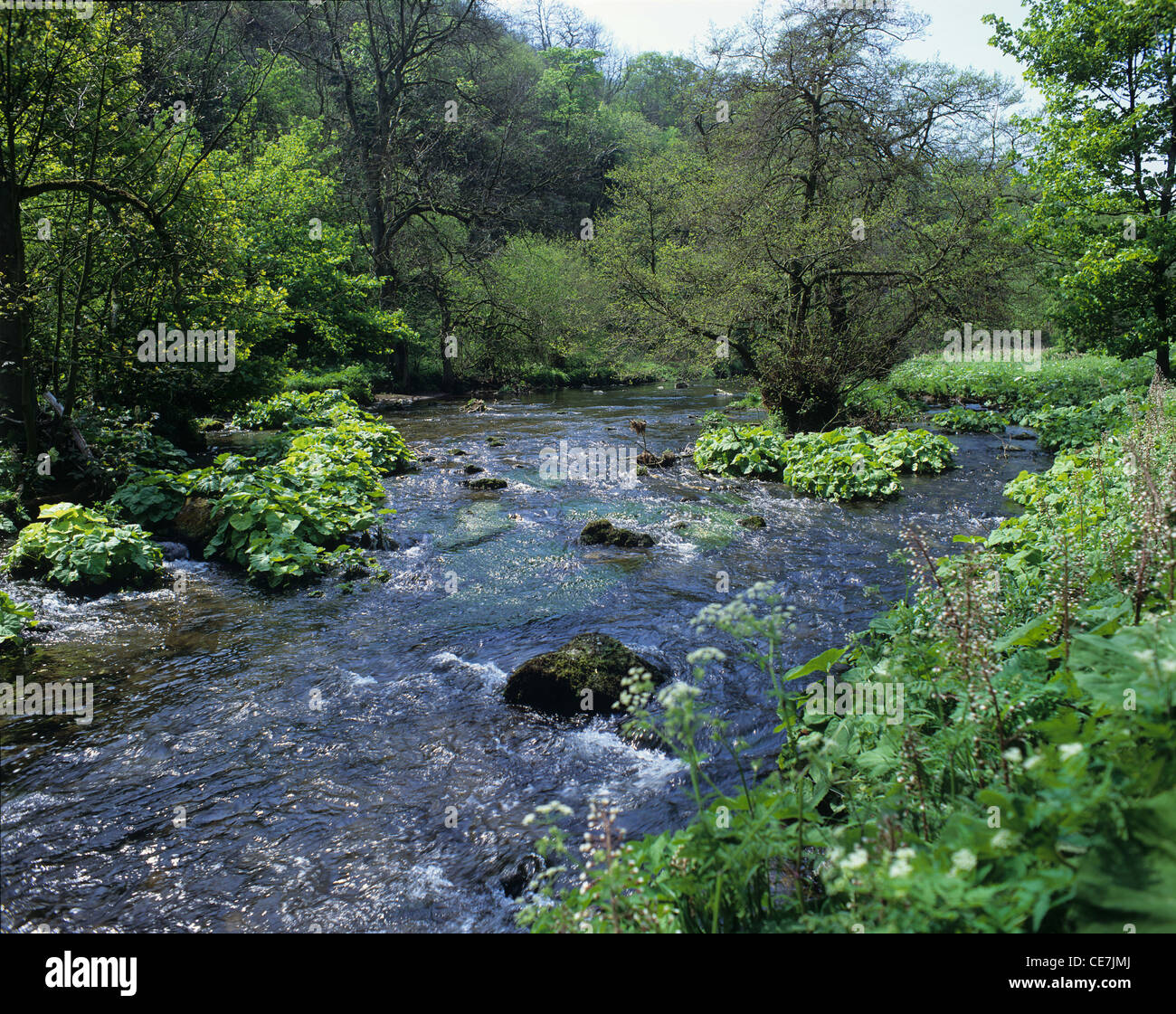 Licenced facilities hi-res stock photography and images - Alamy