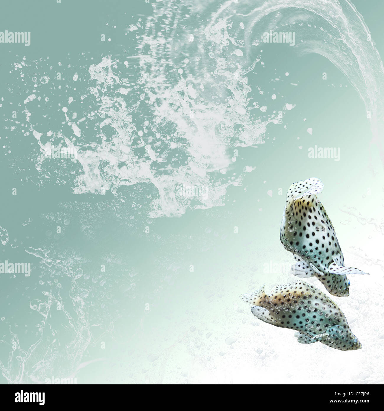water texture background with drops and waves and two tropical little ...