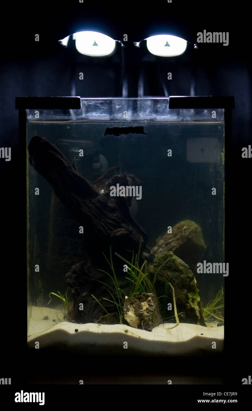 Nano tank hi-res stock photography and images - Alamy