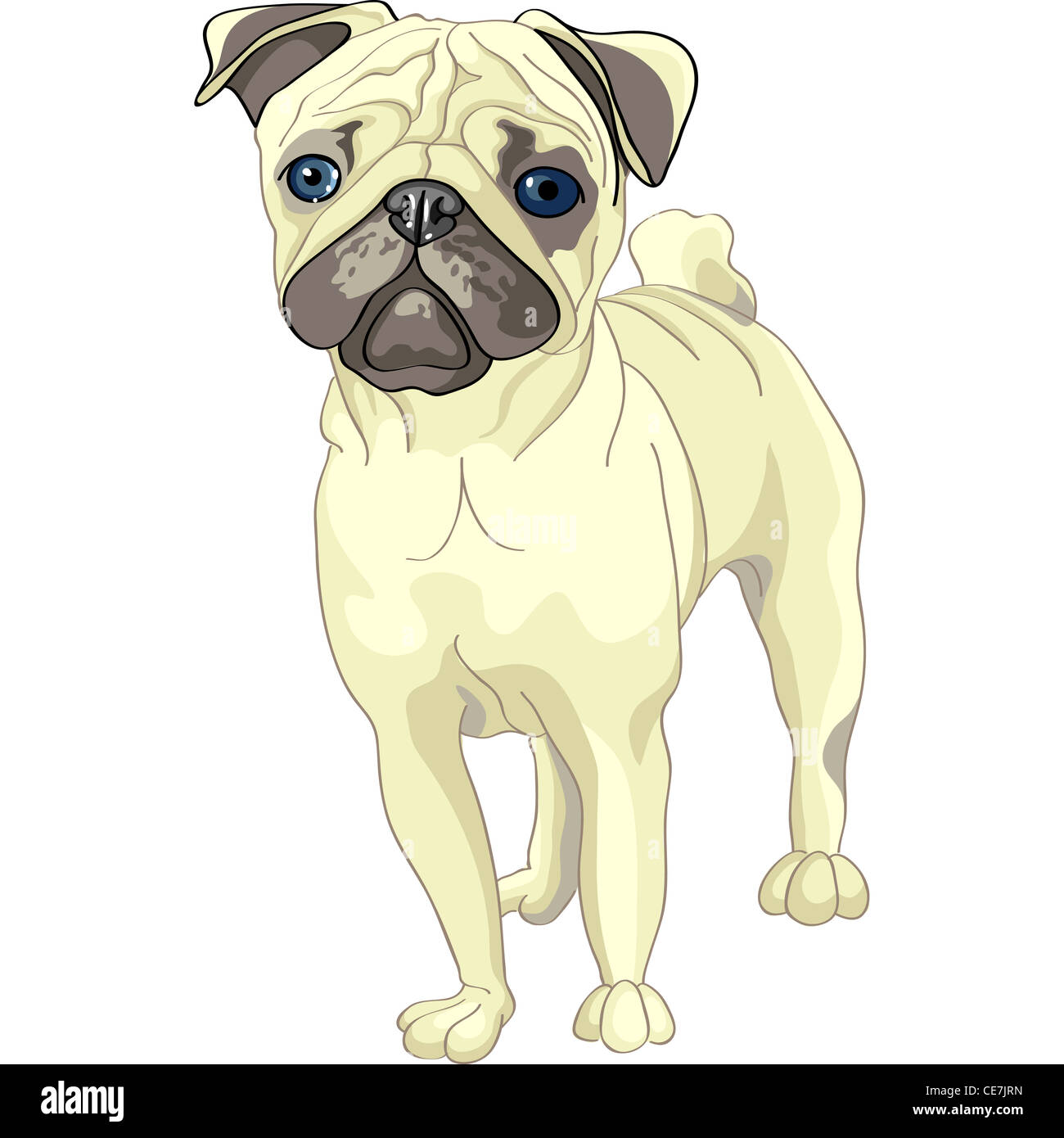 Pug drawing hi-res stock photography and images - Alamy