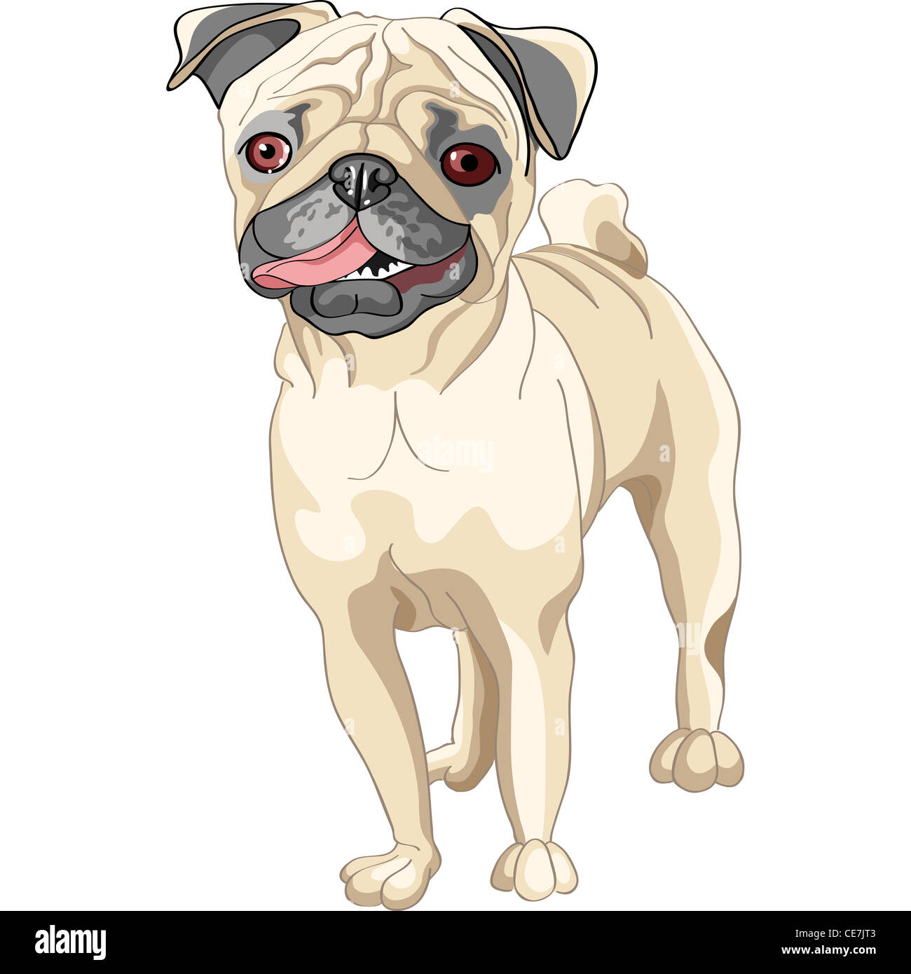 Pug sketch hi-res stock photography and images - Alamy