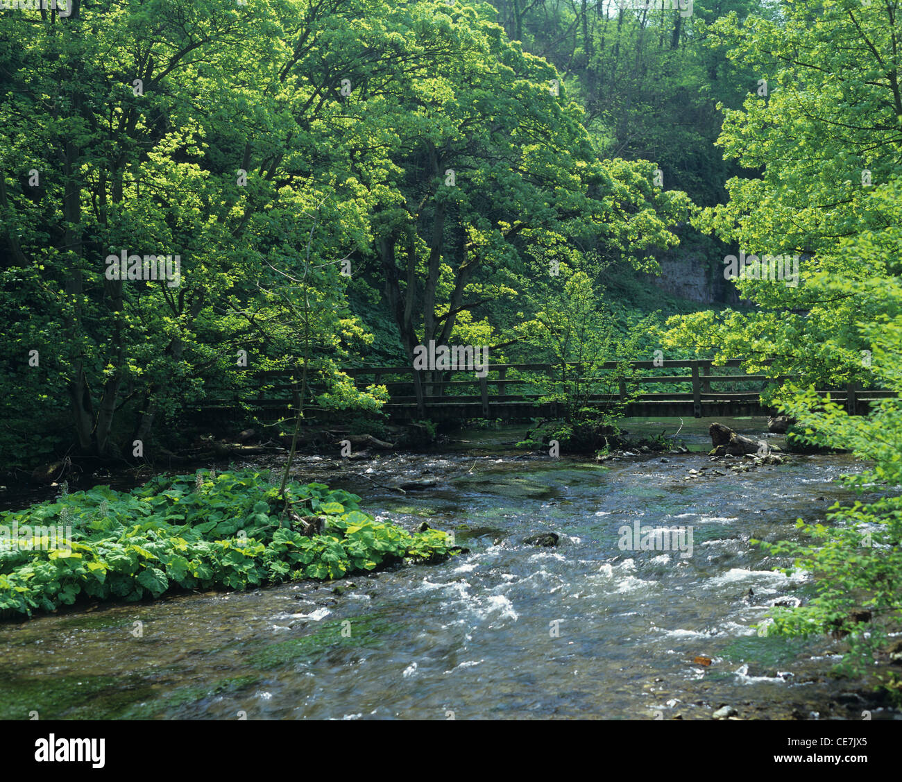 River Wye at Millers Dale, Derbyshire Peak District Stock Photo - Alamy