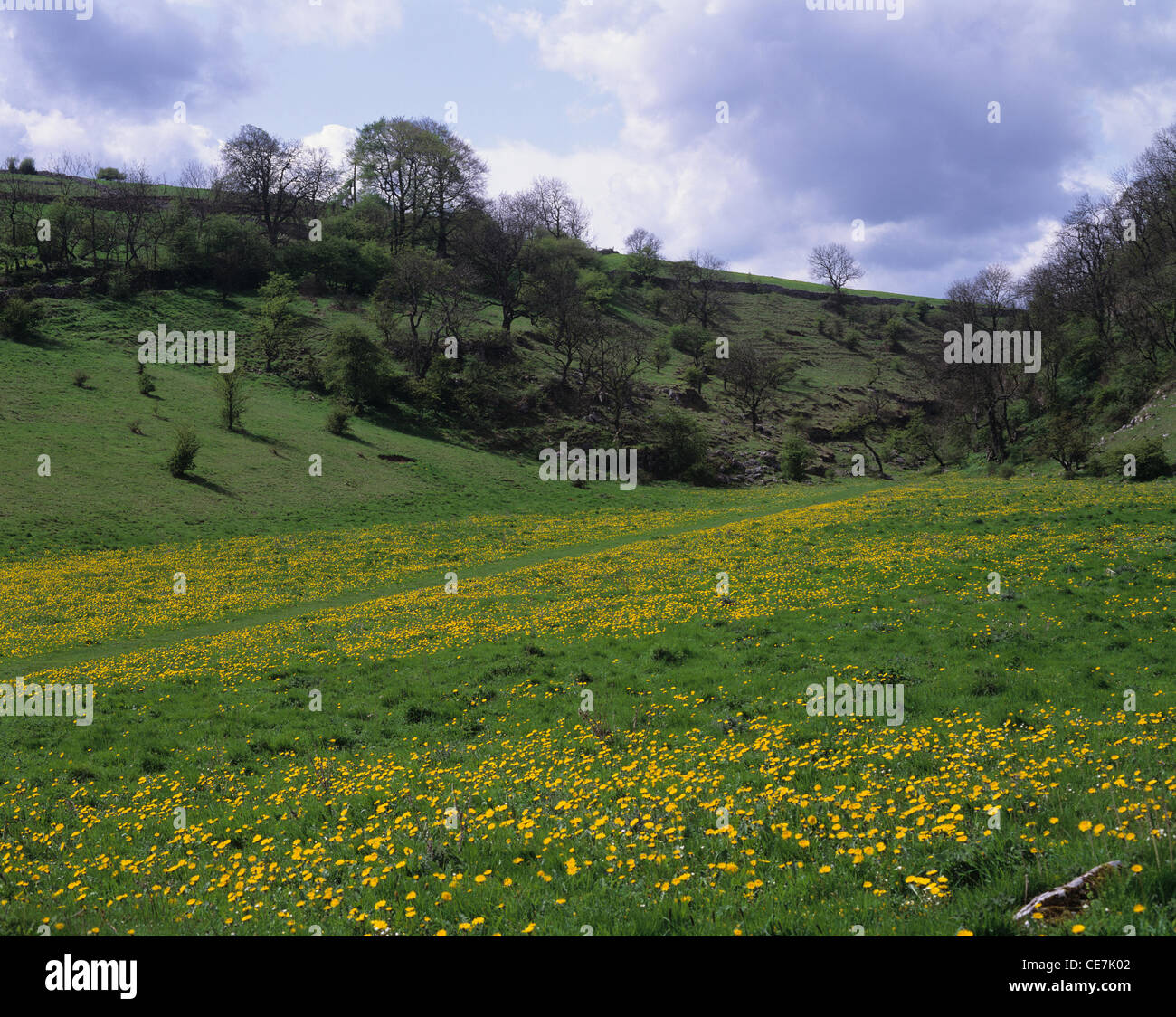Peter Dale in the Derbyshire Peak District Stock Photo - Alamy
