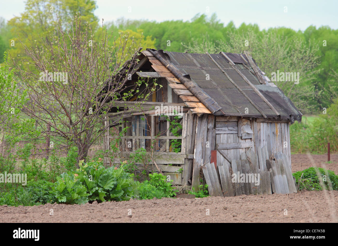 Old Wooden Garden Shed Stock Photo - Alamy