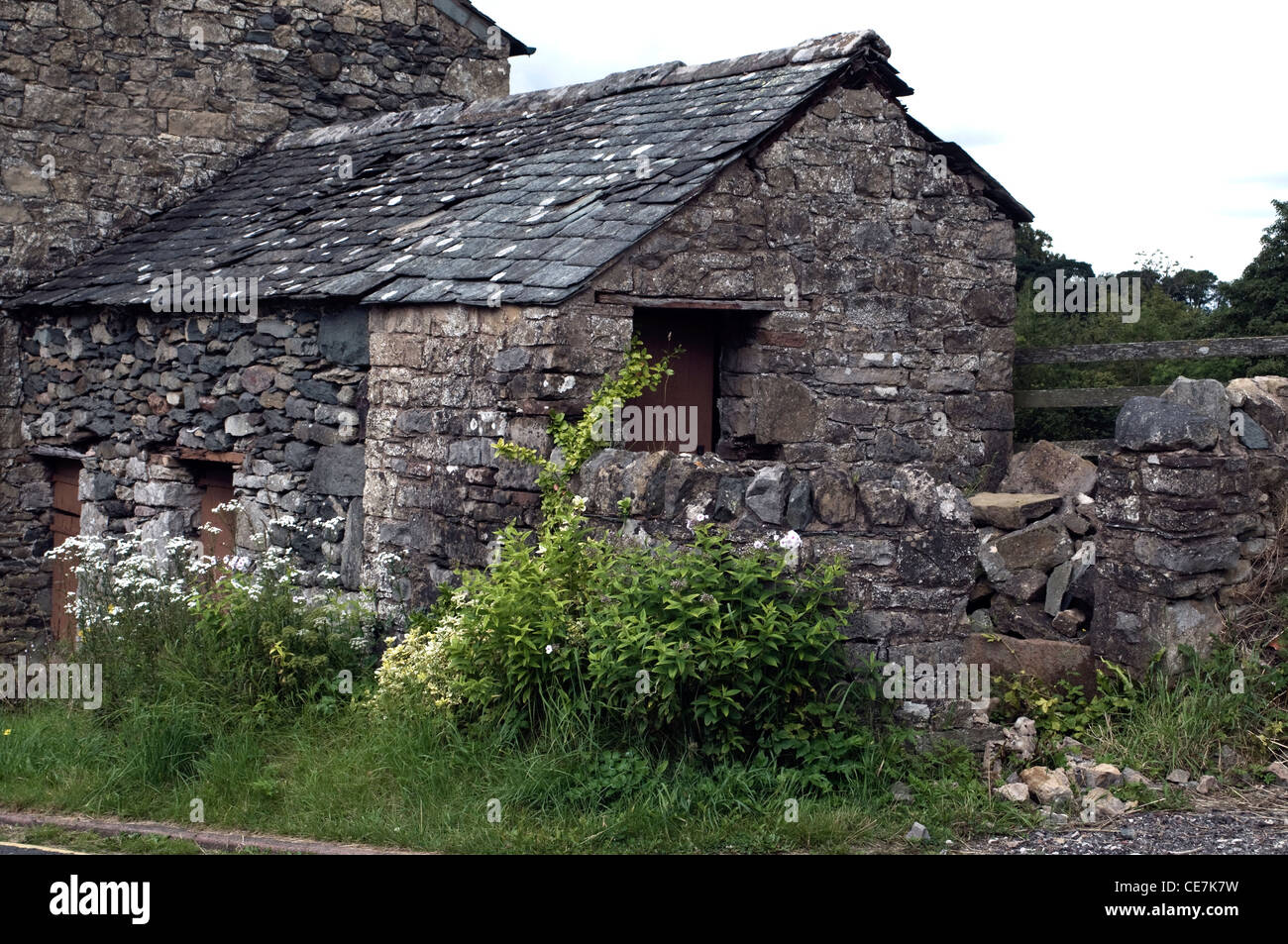 old falling down shed Stock Photo - Alamy