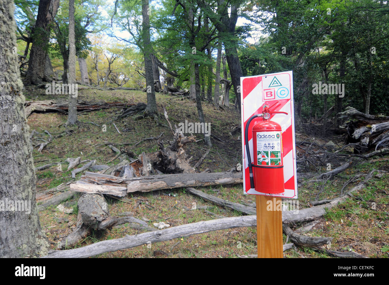Fire extinguisher in the forest during high-risk wildfire season, Los ...