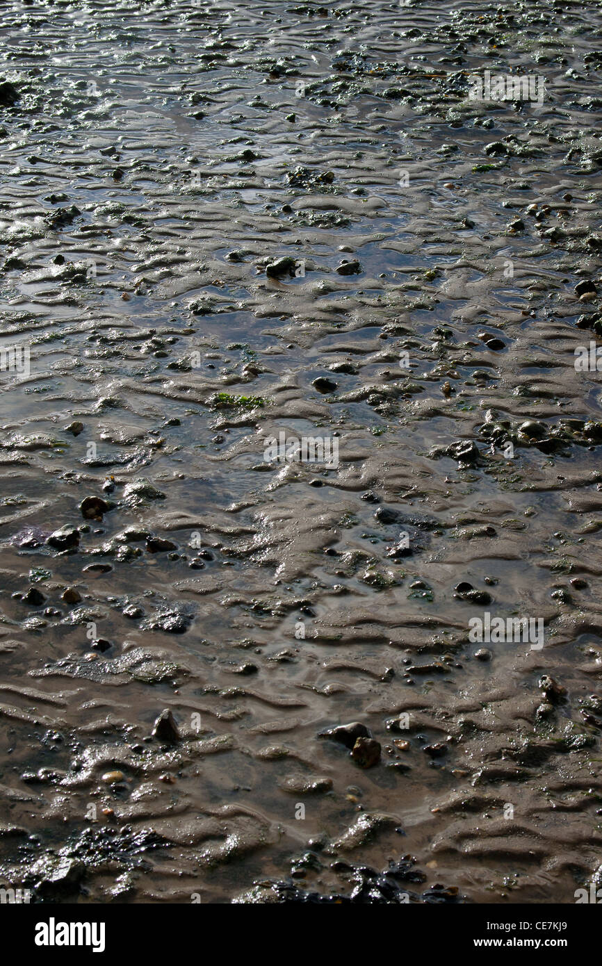 Mudflats along the Essex Coast Stock Photo - Alamy