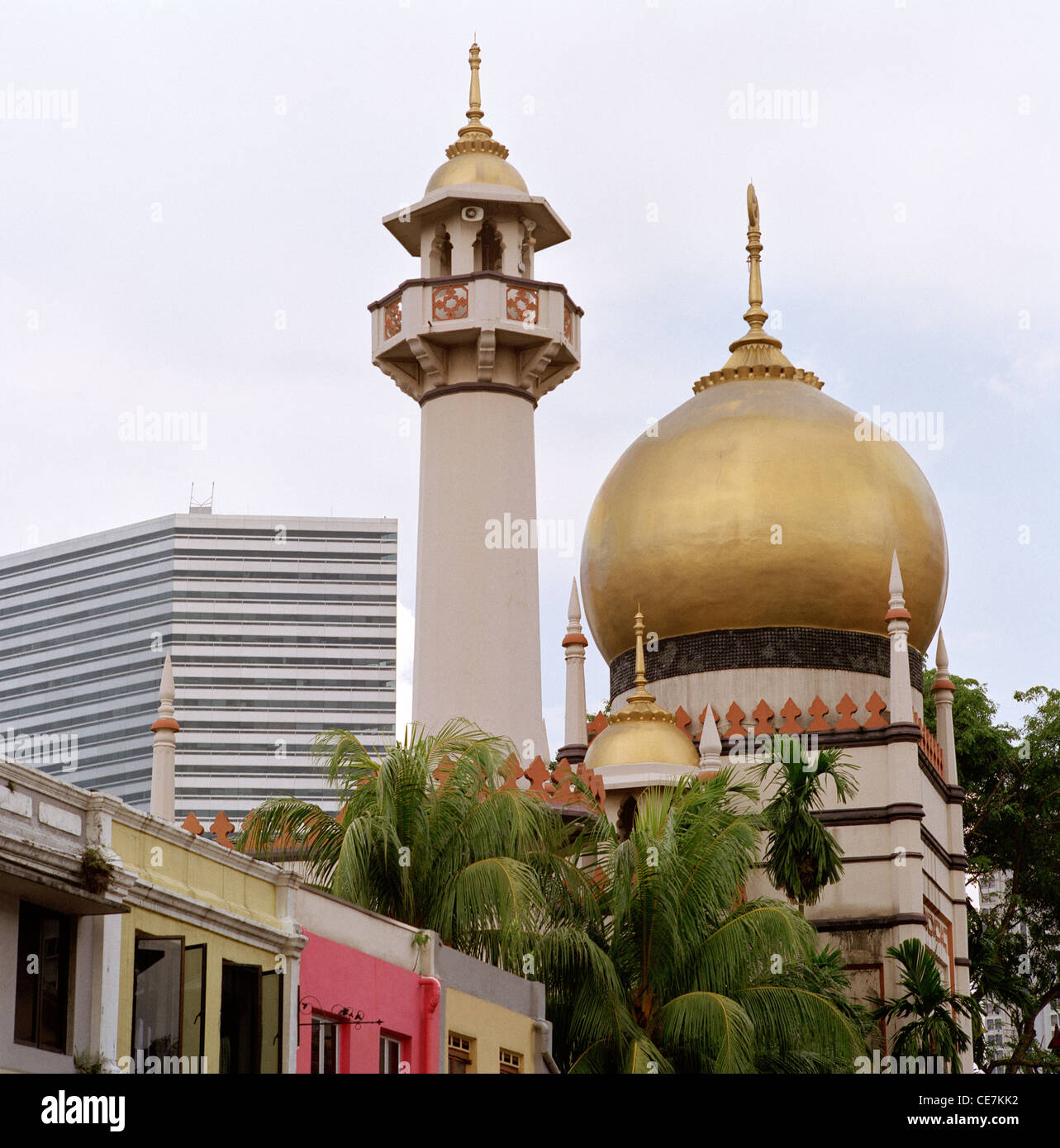 Dome of the Sultan Mosque Masjid at Muscat Street in the Arab Quarter ...