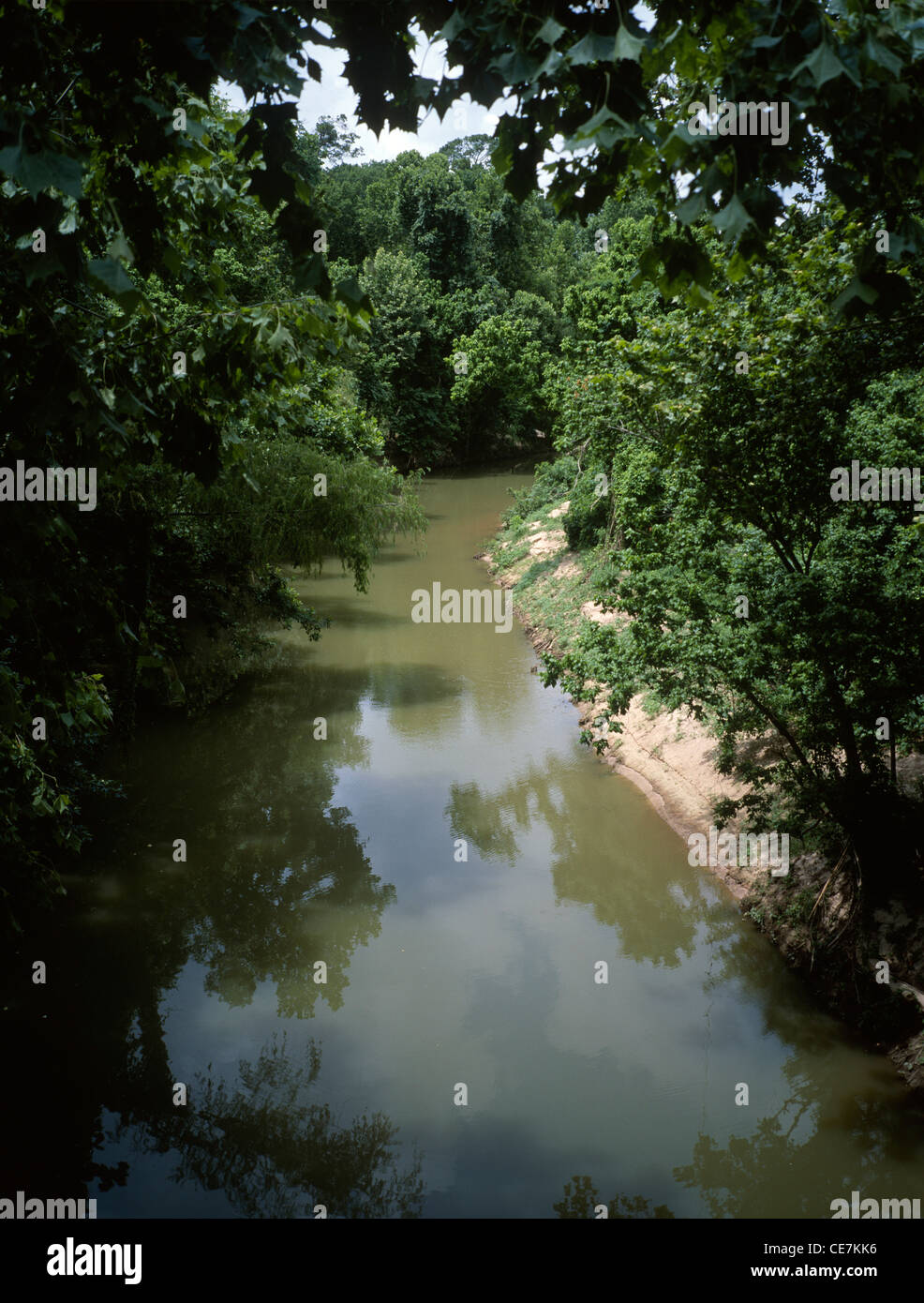 USA Houston Texas Bayou Bend Gardens The Bayou Stock Photo - Alamy