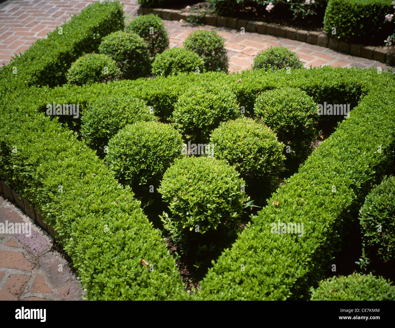 USA Houston Texas Bayou Bend Gardens Clio garden Hedges Stock Photo - Alamy