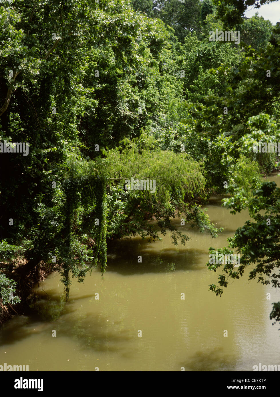 USA Houston Texas Bayou Bend Gardens Stock Photo - Alamy