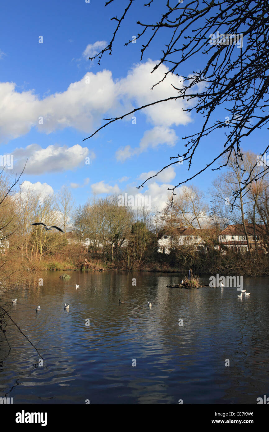 Epsom england hi-res stock photography and images - Alamy