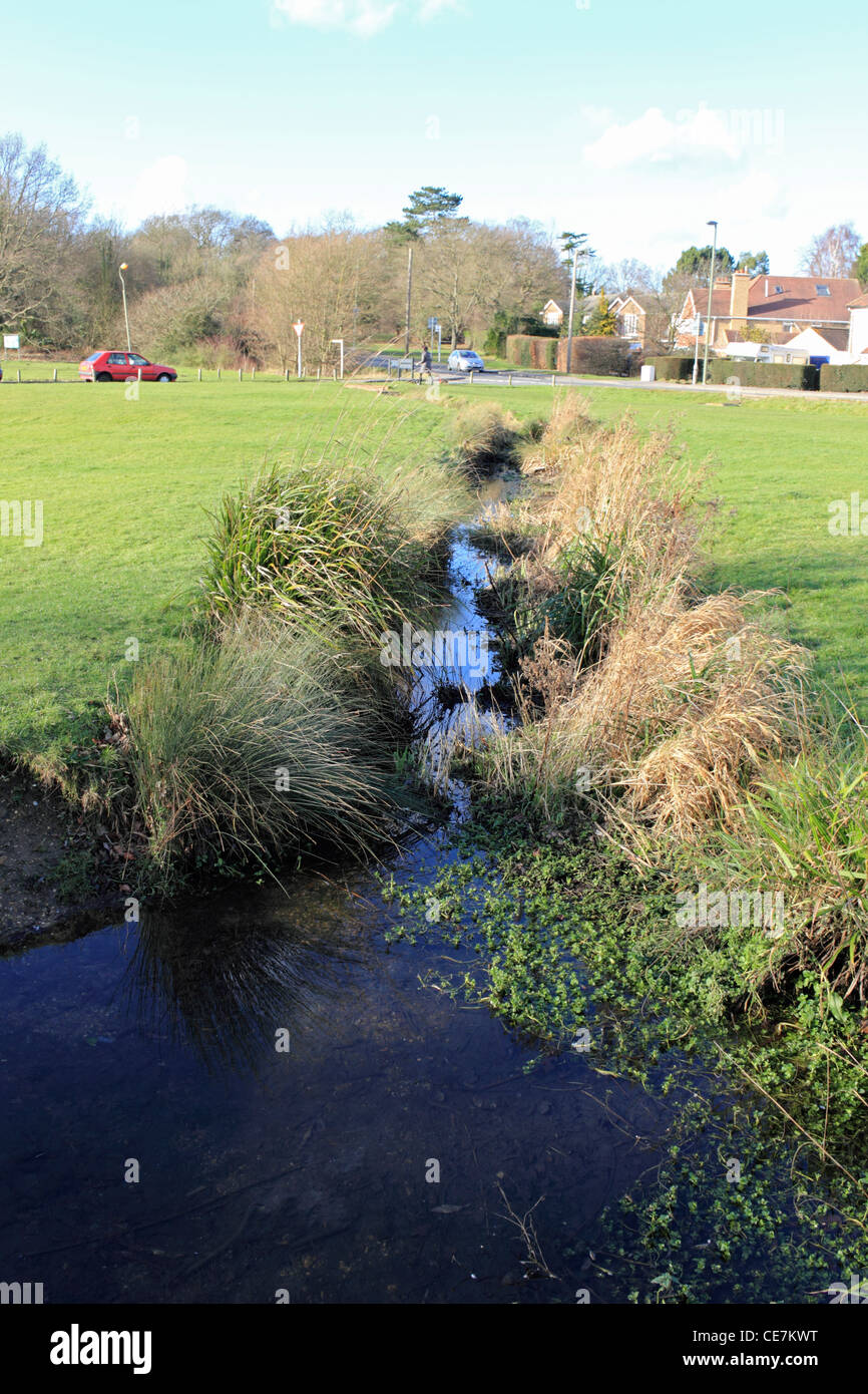 Stream running from Stamford Green pond becomes a tributary of the ...