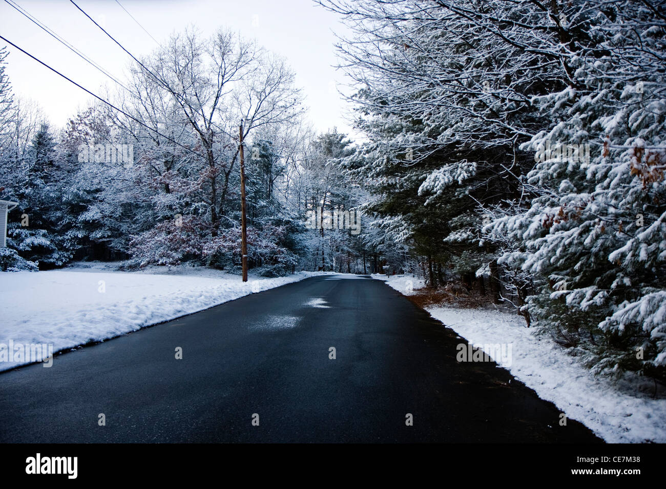 A road in winter snow surrounded by forest trees Stock Photo - Alamy