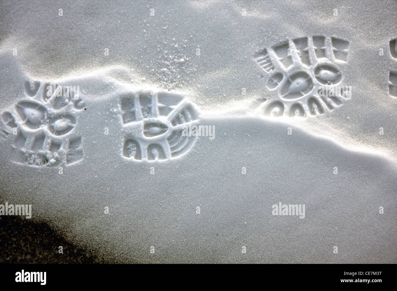 Footprints sign on snow in winter time Stock Photo - Alamy