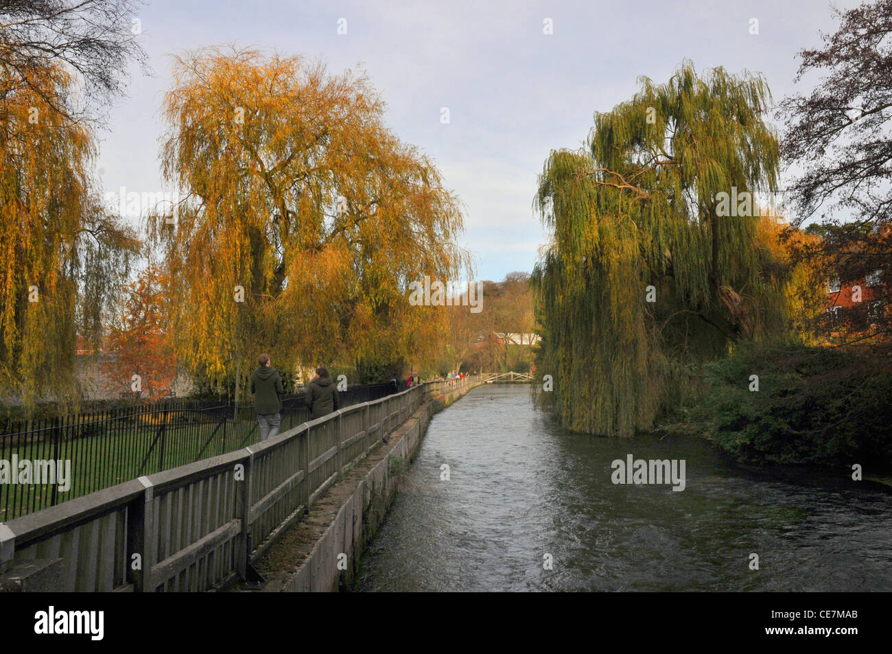THE RIVER ITCHEN FLOWS THROUGH THE CITY OF WINCHESTER, HAMPSHIRE Stock ...
