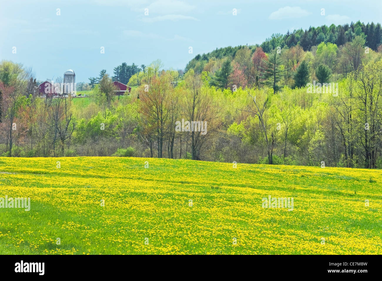 Colorful spring farm landscape in rural Maine Stock Photo - Alamy