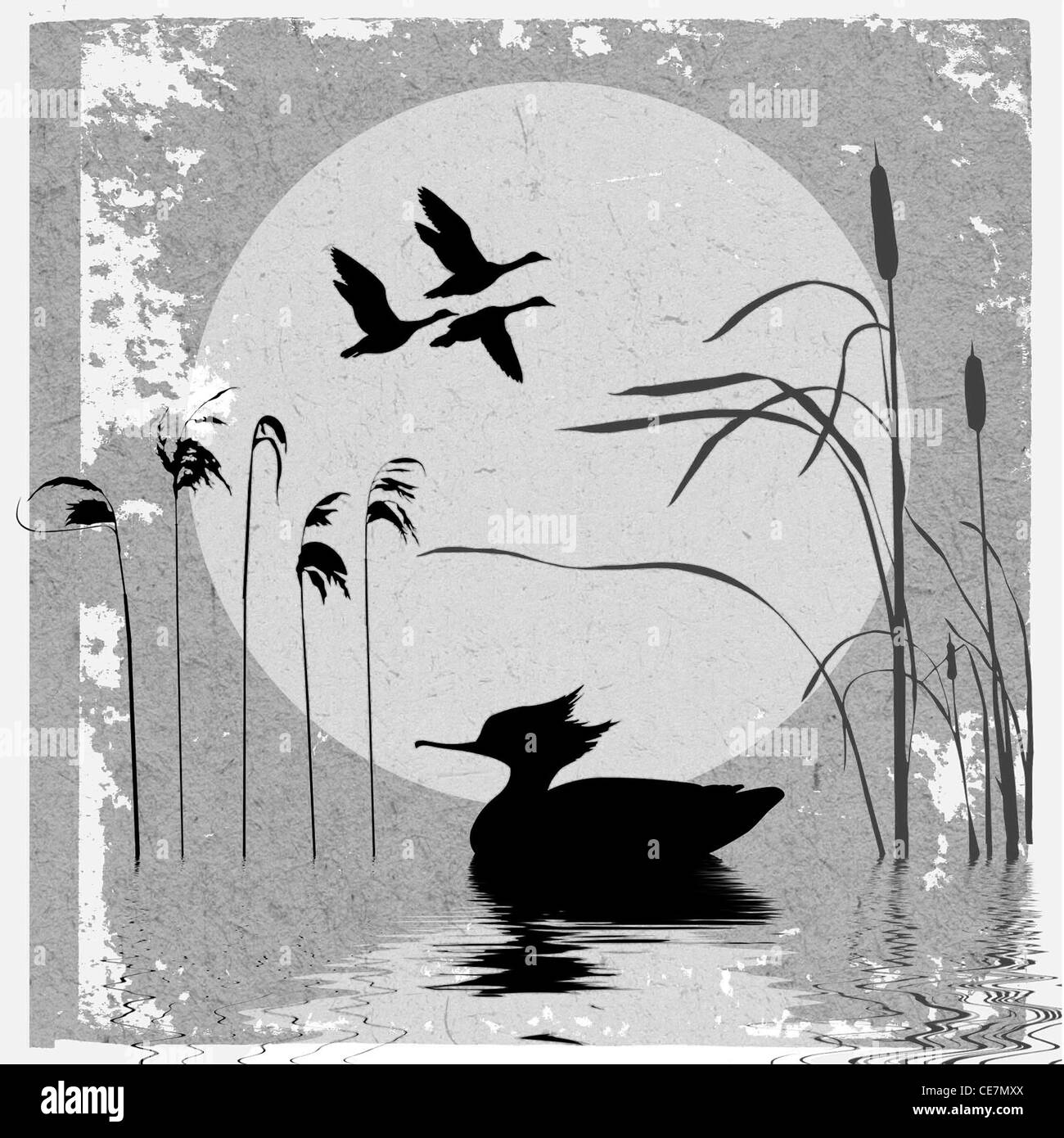 Dirty duck illustration hi-res stock photography and images - Alamy