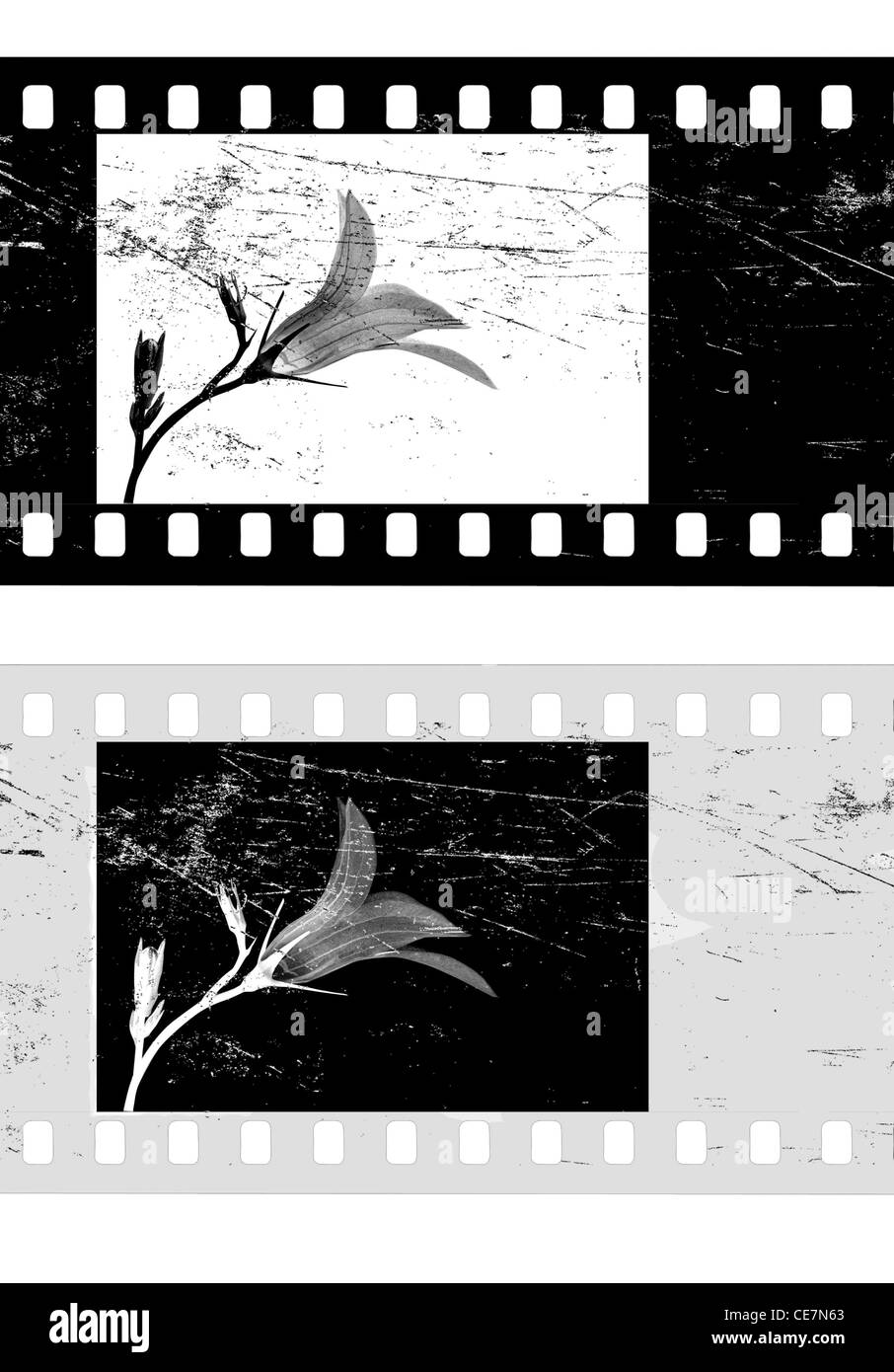 Film projection Black and White Stock Photos & Images - Alamy