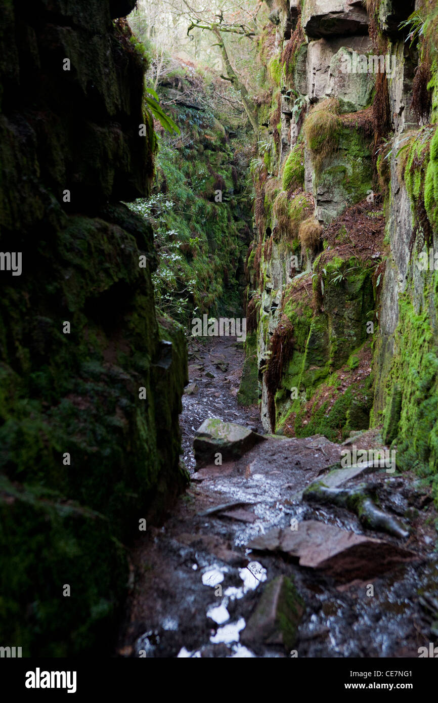 Luds Church Peak District High Resolution Stock Photography and Images ...