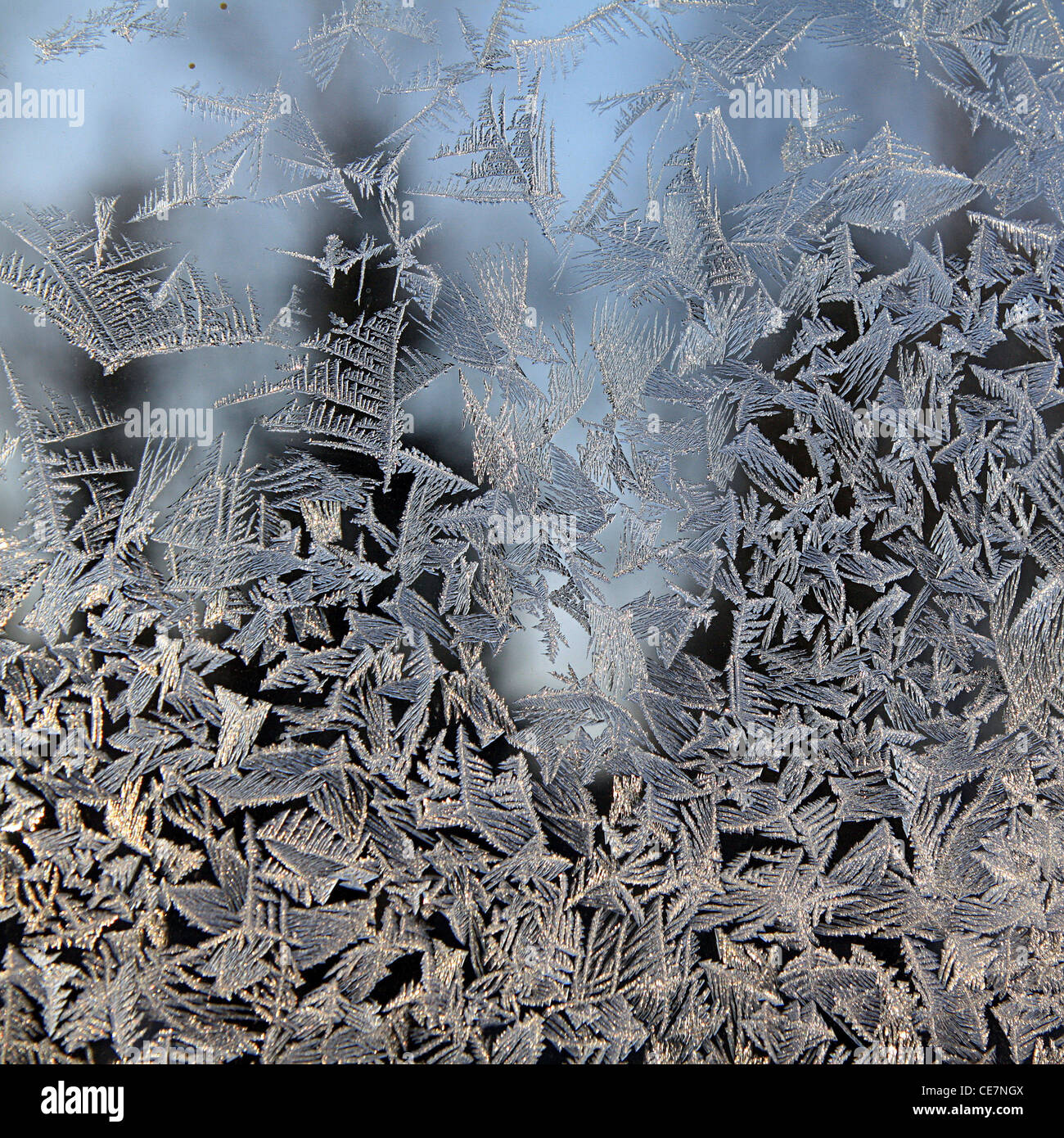 ice on window Stock Photo - Alamy