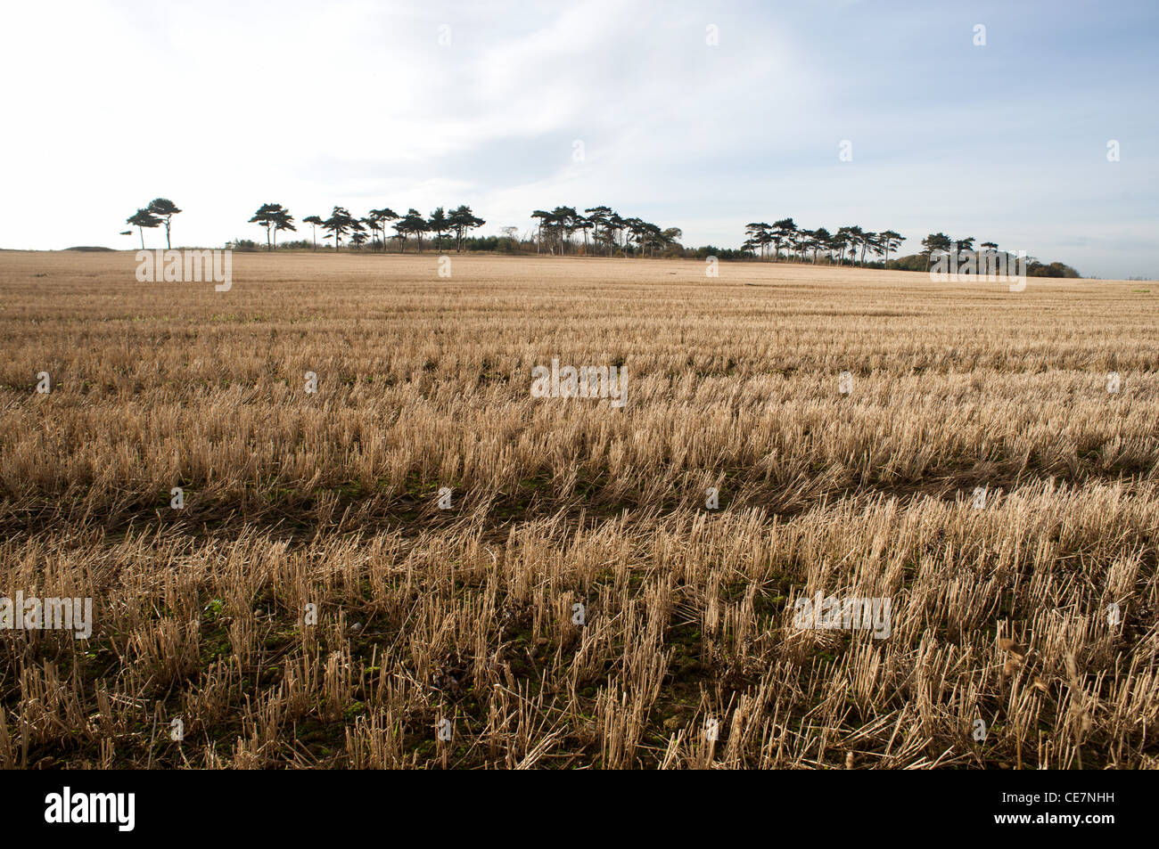Land fallow hi-res stock photography and images - Alamy
