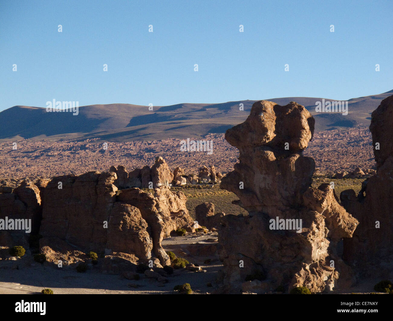 Lava valley Bolivia Stock Photo - Alamy