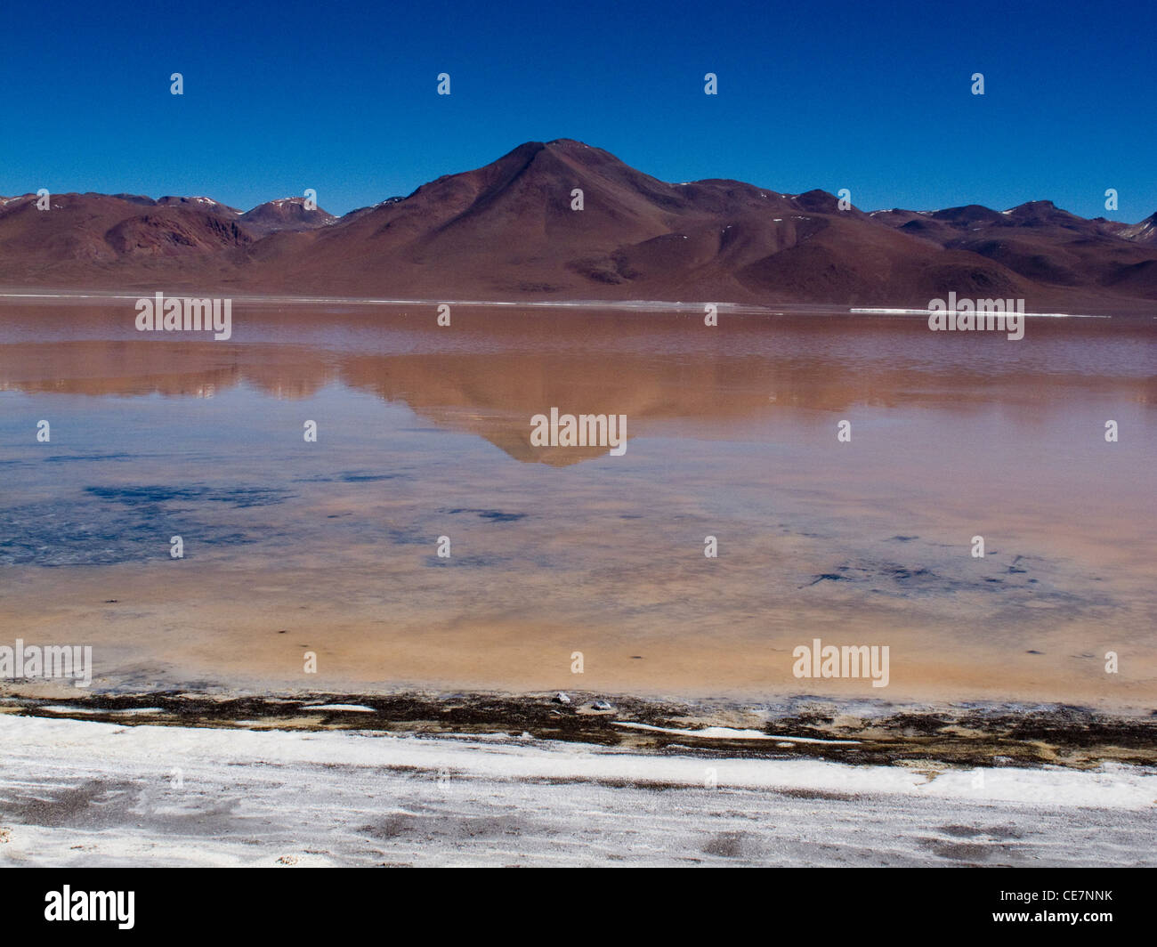 Red laguna colorada hi-res stock photography and images - Alamy