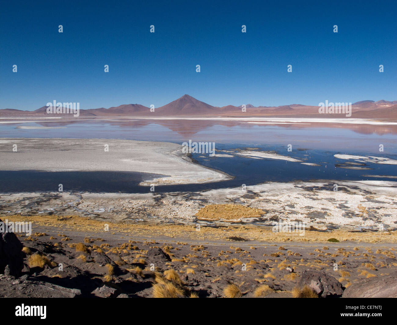 Laguna Colorada Bolivia Stock Photo - Alamy