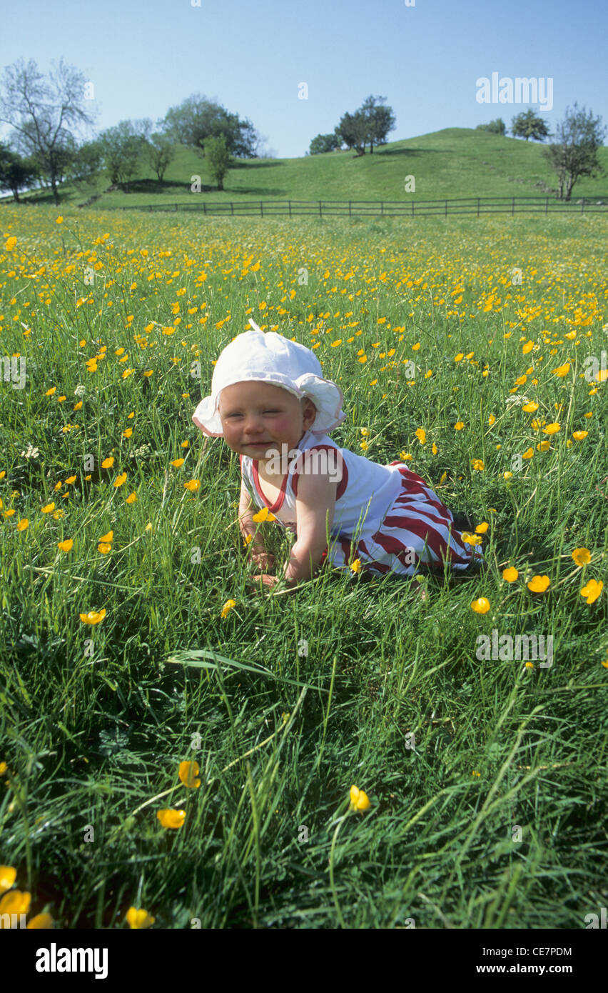 Baby buttercup hi-res stock photography and images - Alamy