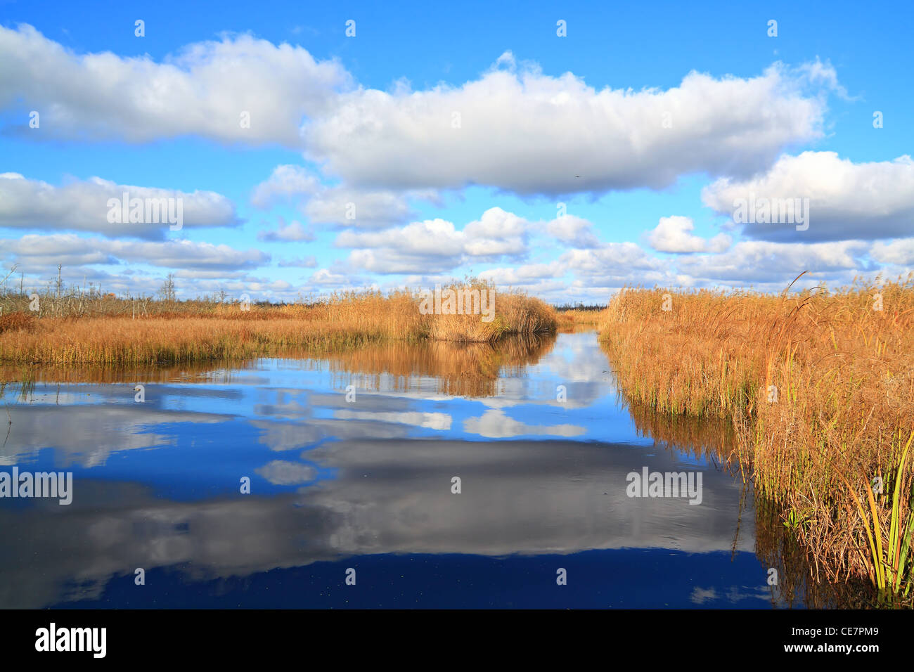Yellow marsh lake hi-res stock photography and images - Alamy